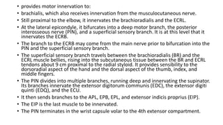 Principles of Transfer and Transfers for Radial Nerve Palsy | PPTX