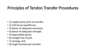 Principles of Transfer and Transfers for Radial Nerve Palsy | PPTX