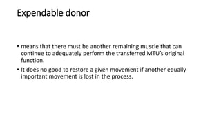 Principles of Transfer and Transfers for Radial Nerve Palsy | PPTX