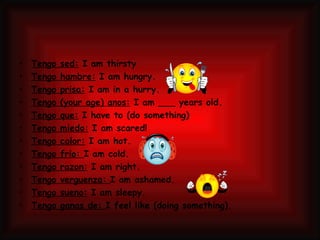 Tener Expressions in Spanish | PPT