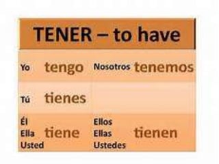 Tener idioms | PPT