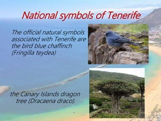 Group 6 Tenerife | PPTX