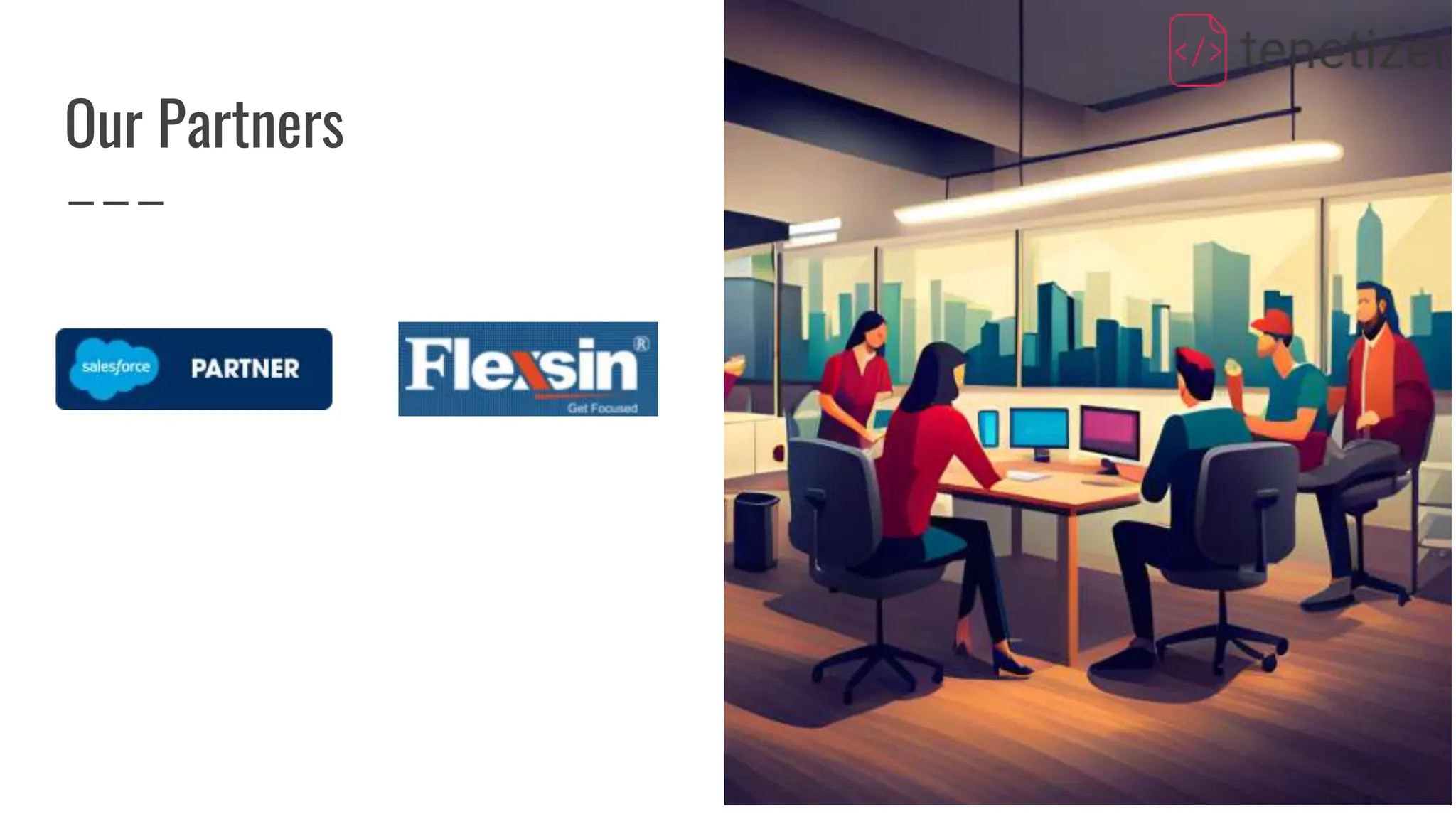 Tenetizer Technologies Portfolio v1.0 (1).pptx