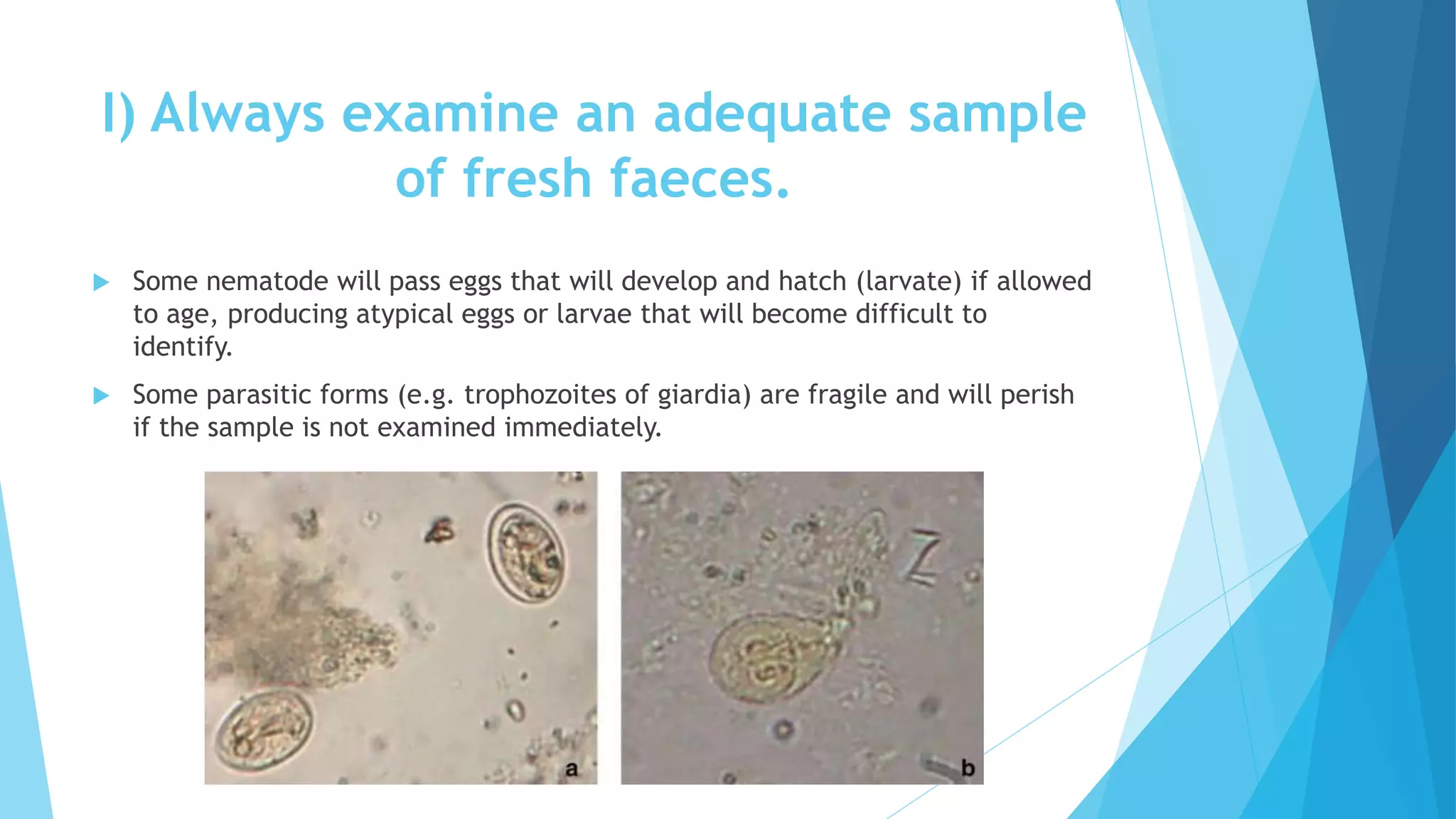 Tenets of faecal examination | PPT