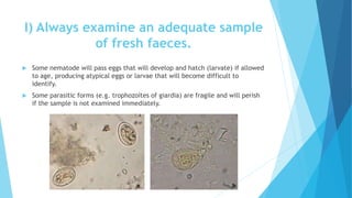 Tenets of faecal examination | PPT