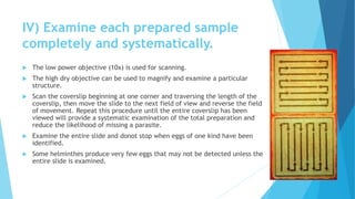 Tenets of faecal examination | PPTX
