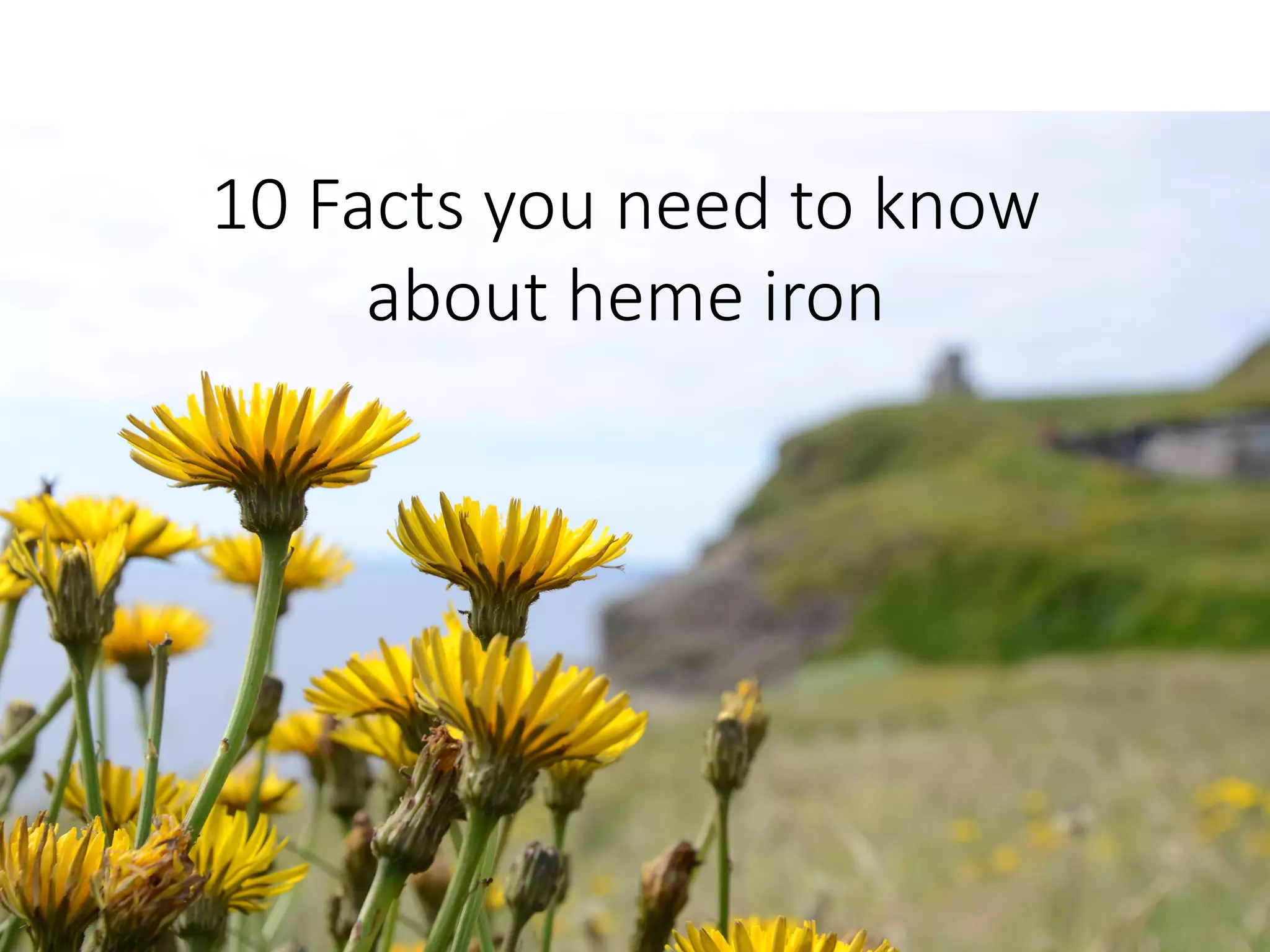 10 Facts you need to know about heme iron | PPT
