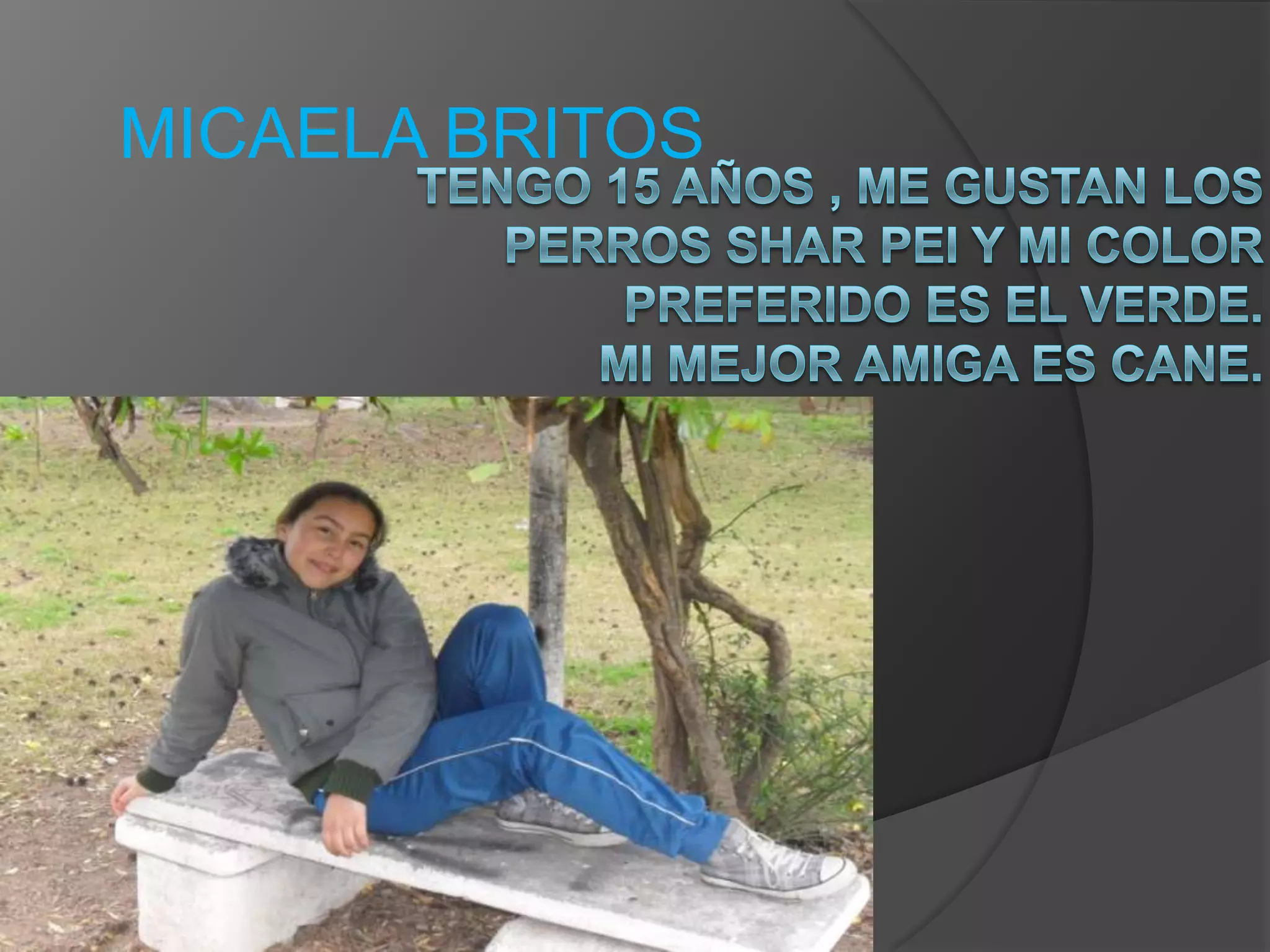 Tengo 15 años , me gustan los perros | PPT