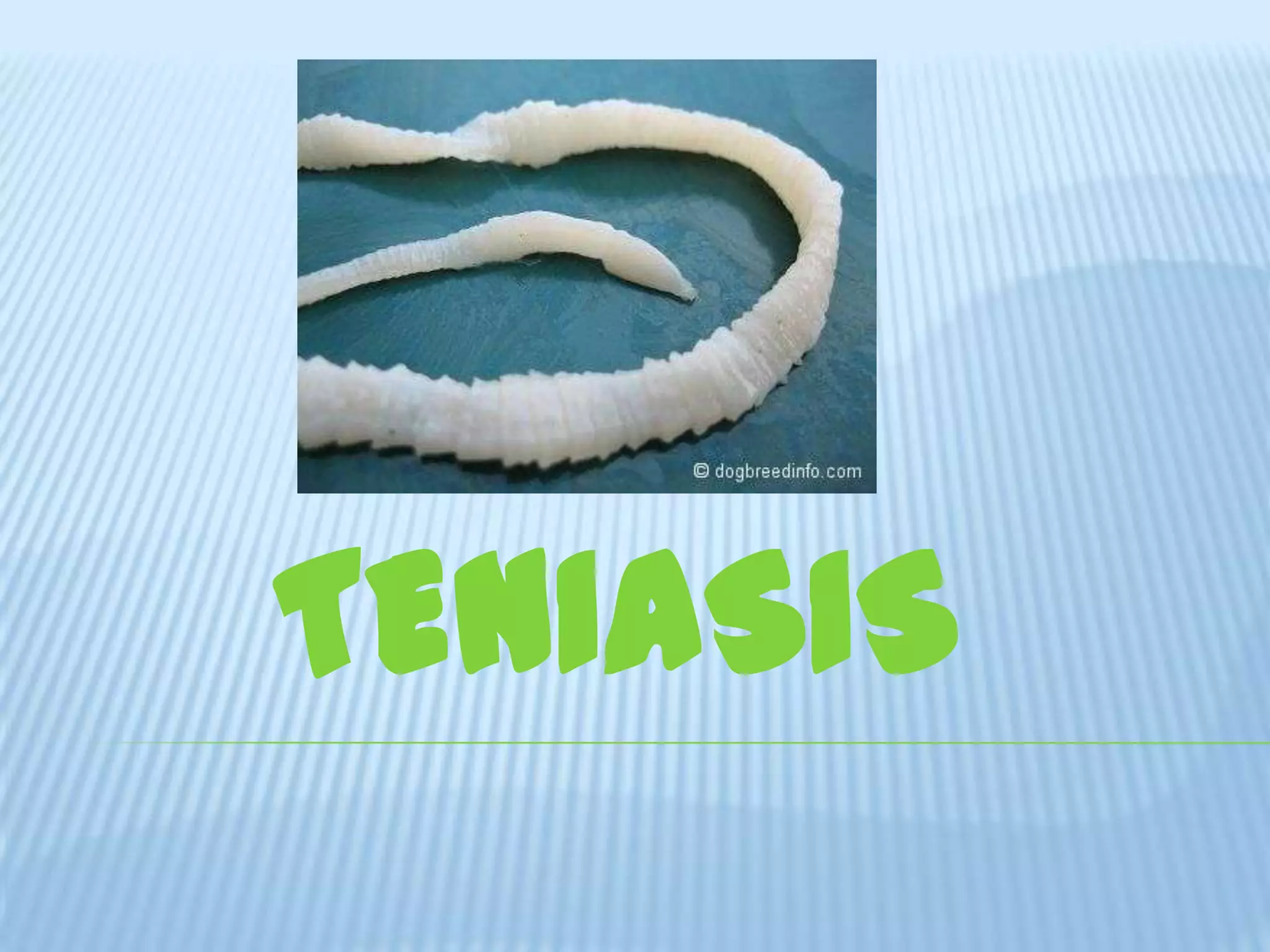 Teniasis | PPT