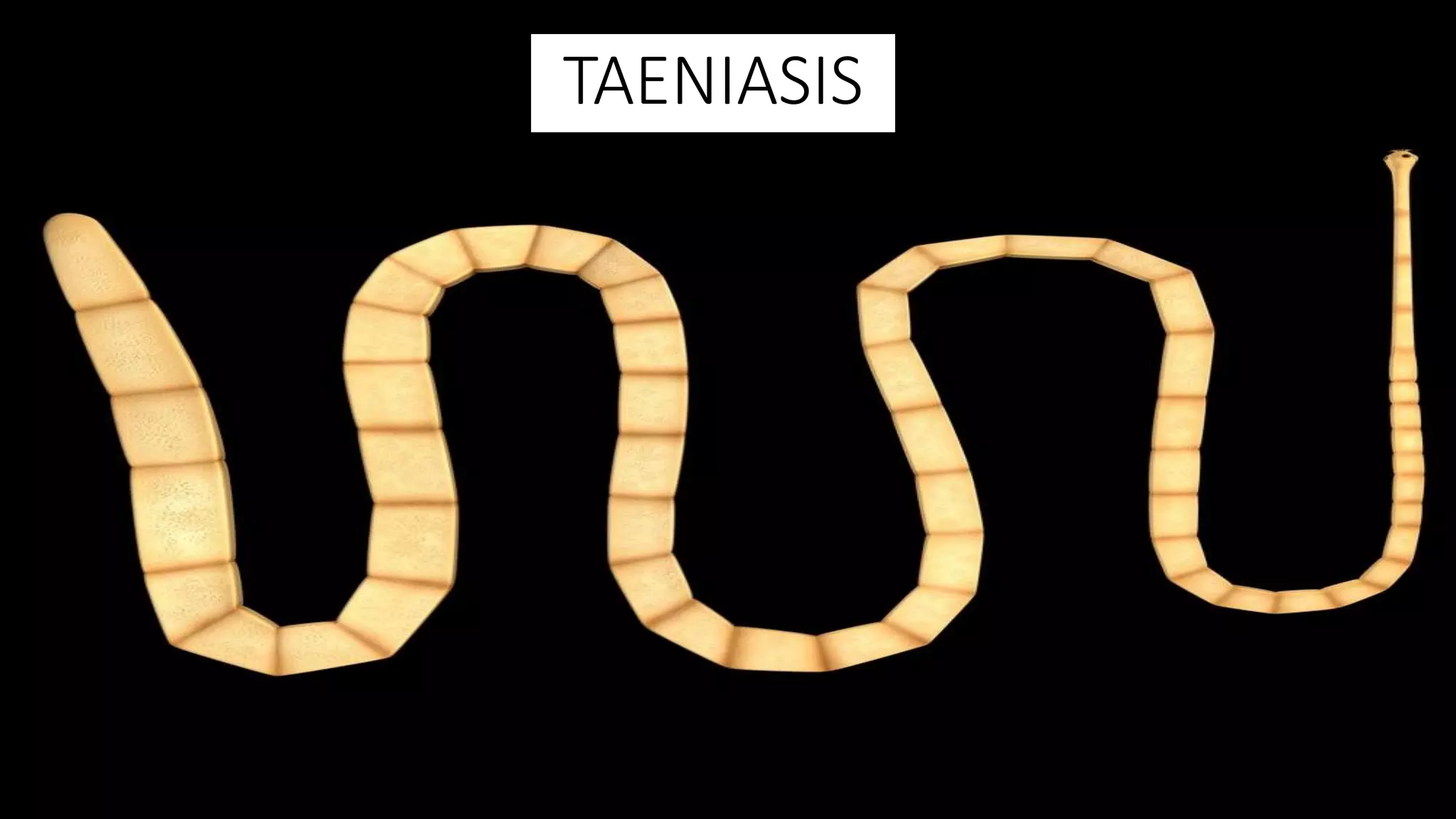 Taeniasis and hydatidosis | PPTX