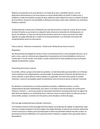 Tenia en perros.docx Y AFECTACIONES EN LOS ANIMALES | DOCX