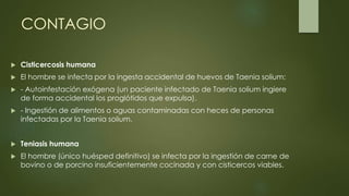 COMPLEJO TENIASIS / CISTICERCOSIS | PPTX