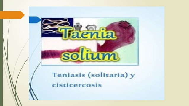 tenia solium-1.pptxgrupo7aofendamosmas.. | PPTX