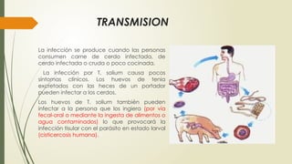 tenia solium-1.pptxexposociomdaprendermas | PPTX