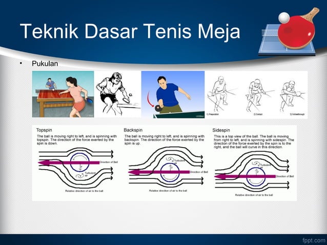 Tenis meja | PPT