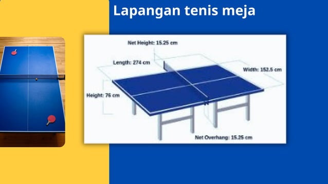 bahan ajar tenis meja bahan ajar213344555.pptx