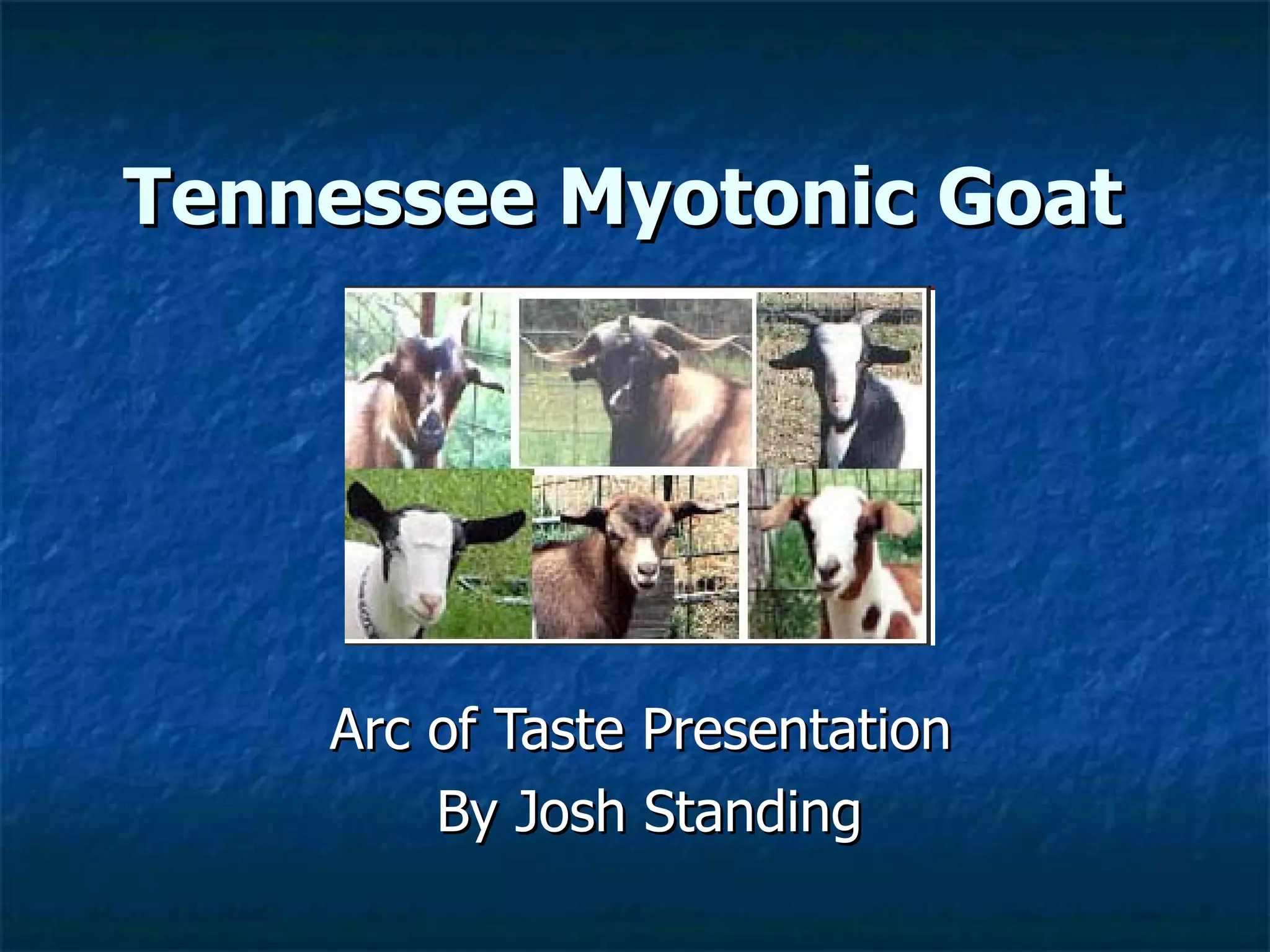 Tennessee Myotonic Goat Arc Of Taste | PPT | Genetics | Science
