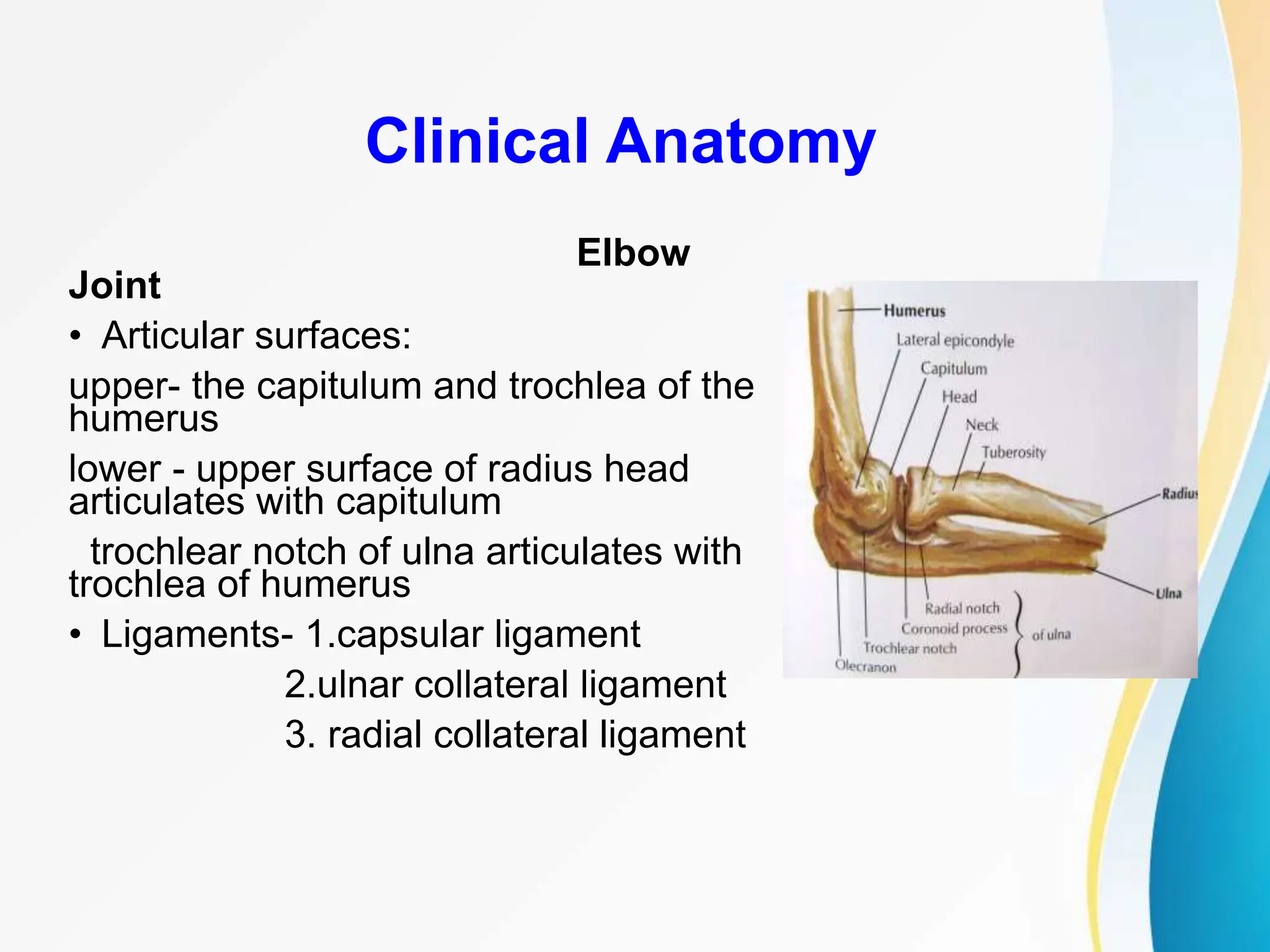 TENNIS ELBOW (Lateral Epicondylitis).pptx