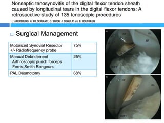 Tenoscopy - Equine Flexor Tendon Sheath | PPTX