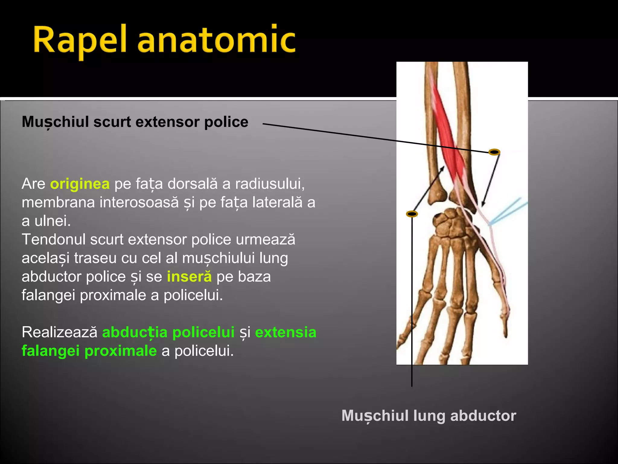 Tenosinovita de quervain | PPT