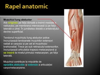 Tenosinovita de quervain | PPT