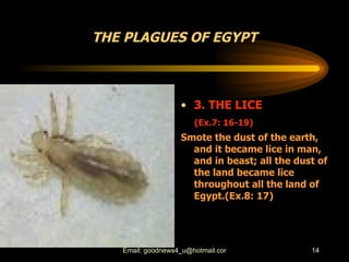 Ten Plagues Of Egypt Ppt | PPT