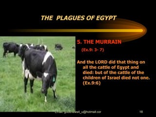 Ten Plagues Of Egypt Ppt | PPT