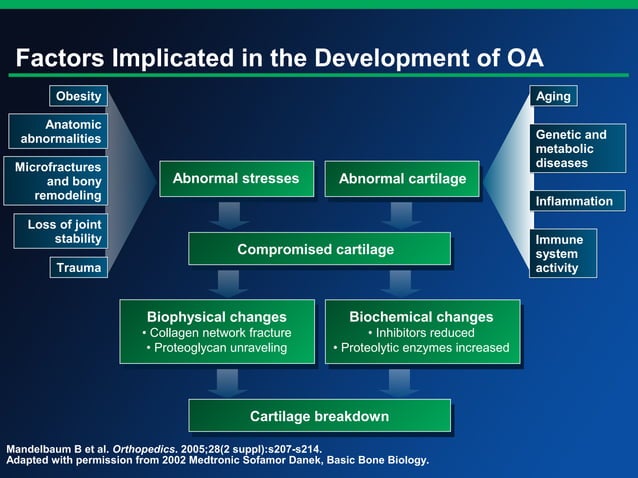 Ten Principles in Osteoarthritis Management | PPT