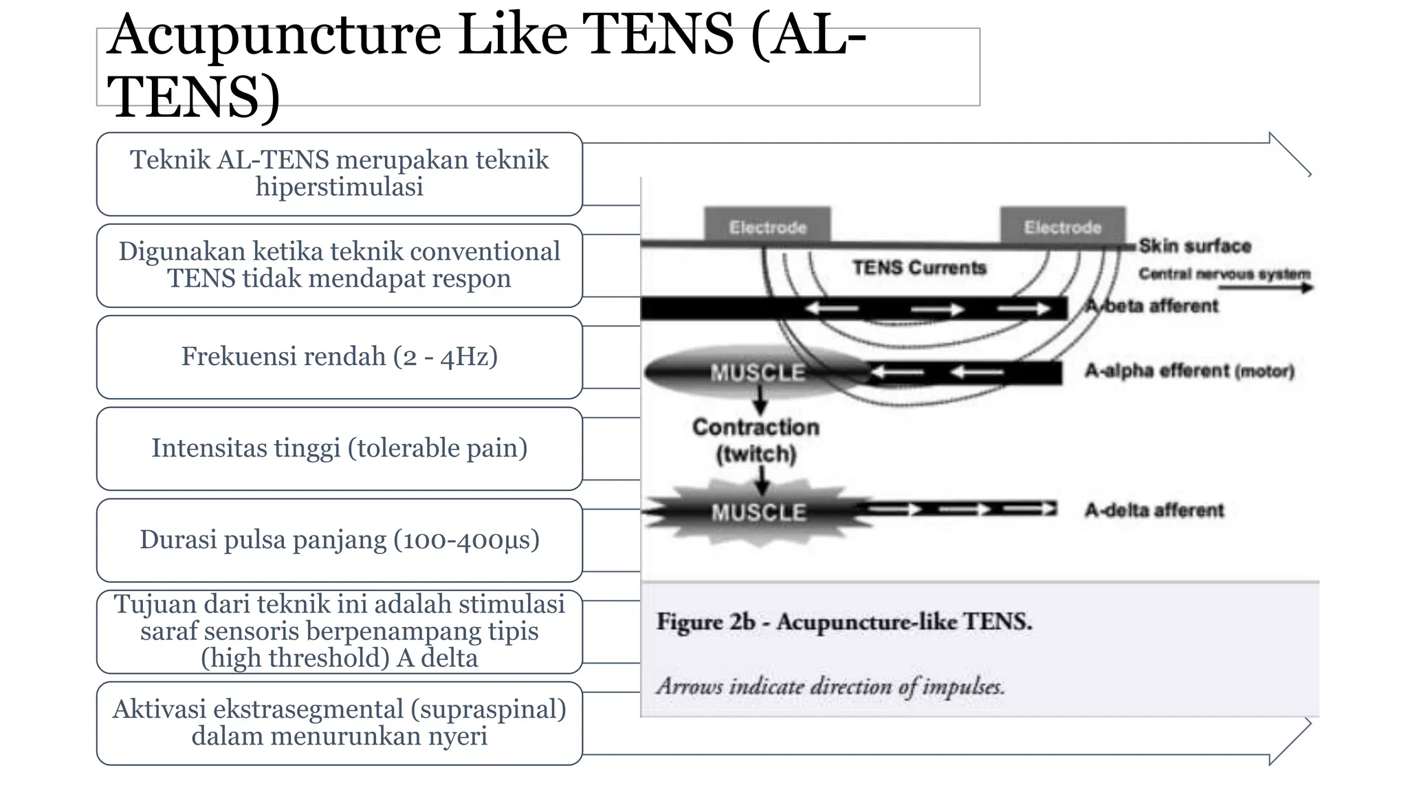 Materi Pembelajaran Fisioterapi Elektroterapi TENS | PPTX