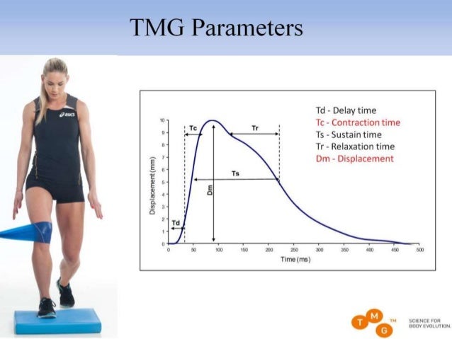 Tensiomyography (tmg lsu 1)