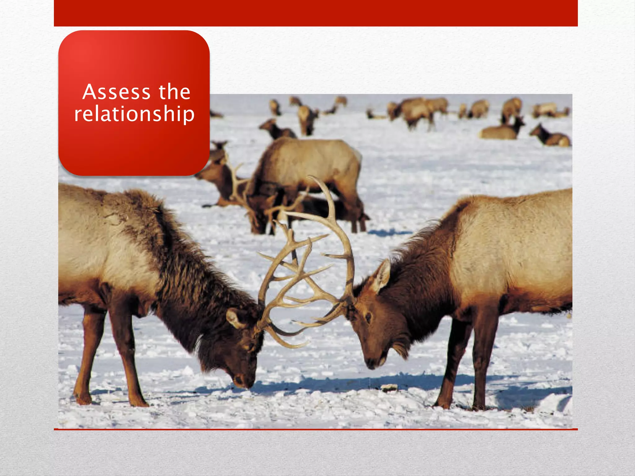 Creative Conflict: Turning Tension Into Teamwork | PPT