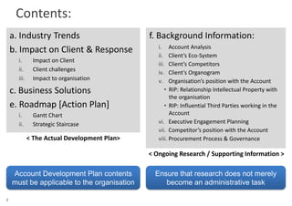 Ten Slides in Ten Minutes - Mature Account Development Planning | PDF