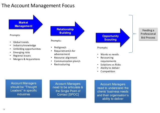 Professional Development Plan For Accountant