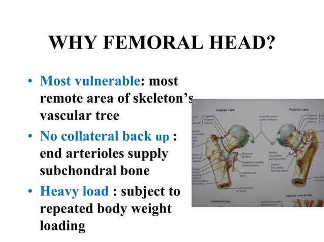 Tensor fascia lata[tfl] muscle pedicle grafting for avn hip dr mohamed ...