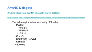 TensorFlow Lite Delegateとは？ | PDF | Technology & Computing