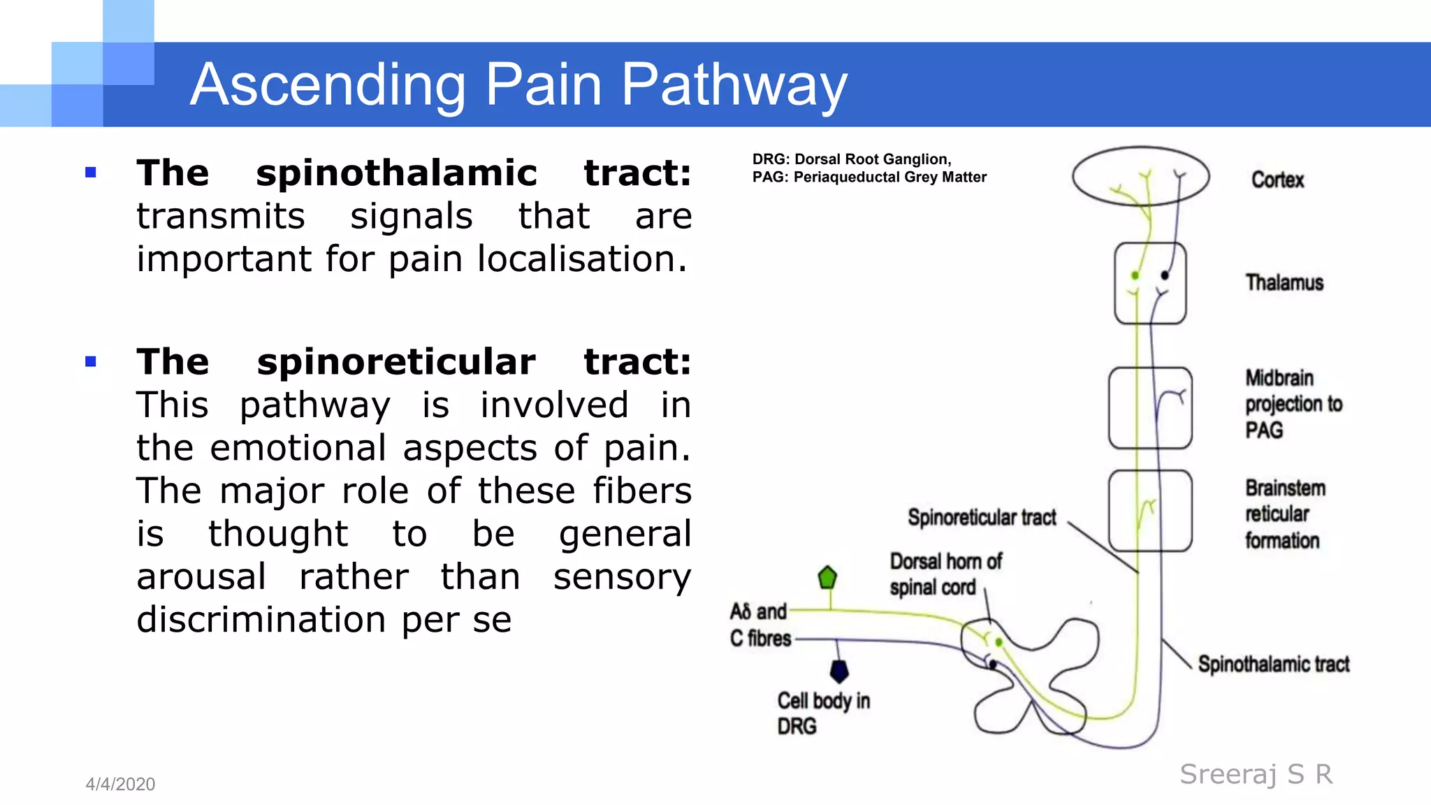 Transcutaneous Electrical Nerve Stimulation (TENS) SRS | PPTX