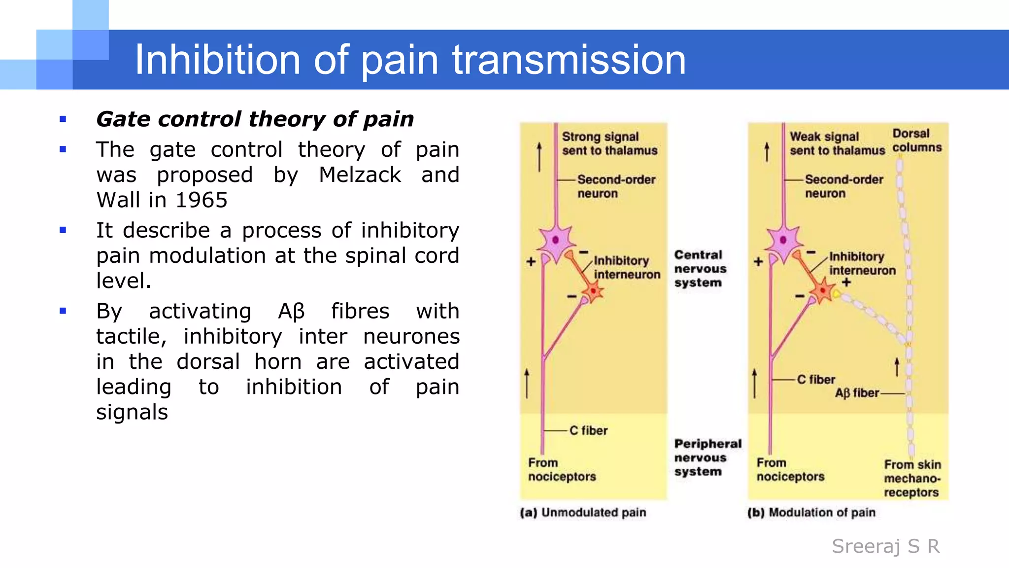 Transcutaneous Electrical Nerve Stimulation (TENS) SRS | PPTX