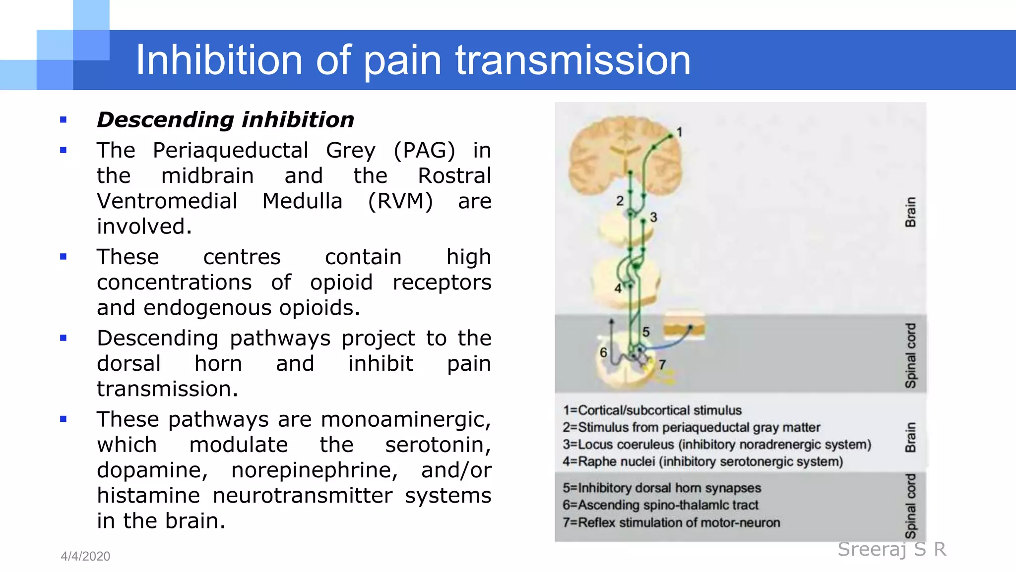 Transcutaneous Electrical Nerve Stimulation (TENS) SRS | PPTX