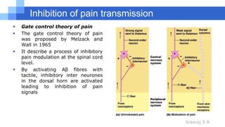 Transcutaneous Electrical Nerve Stimulation (TENS) SRS | PPTX