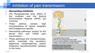 Transcutaneous Electrical Nerve Stimulation (TENS) SRS | PPTX