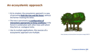 Tentative organisation of the Wisdom Circes | PPT
