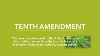 Tenth Amendment Presentation | PPTX