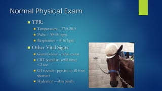 Ten things vets wished owners knew #horsehealth | PPT