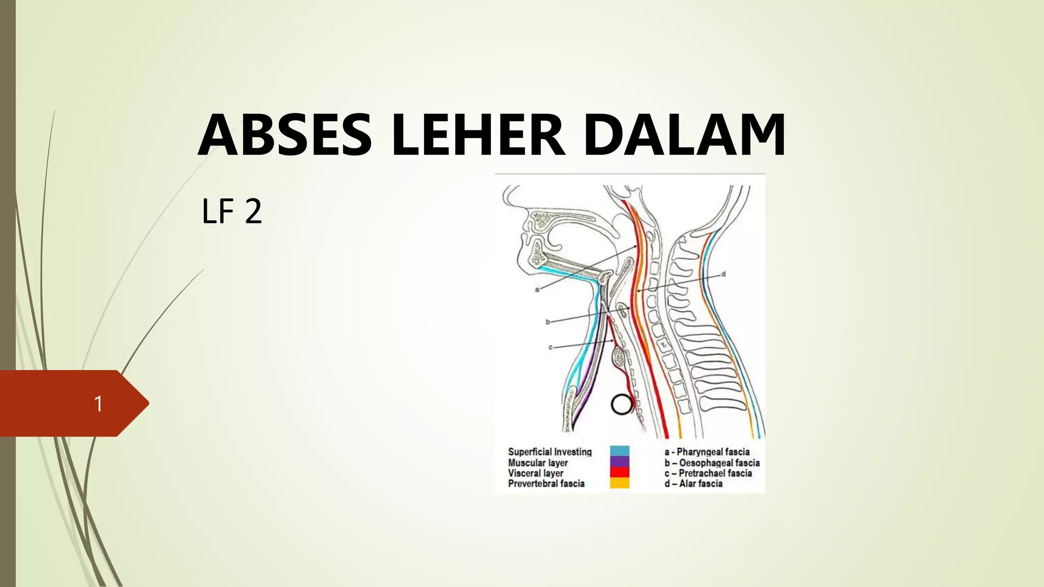 Tentiran Abses Leher Dalam yogi.pptx