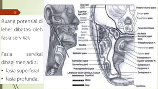 Tentiran Abses Leher Dalam yogi.pptx