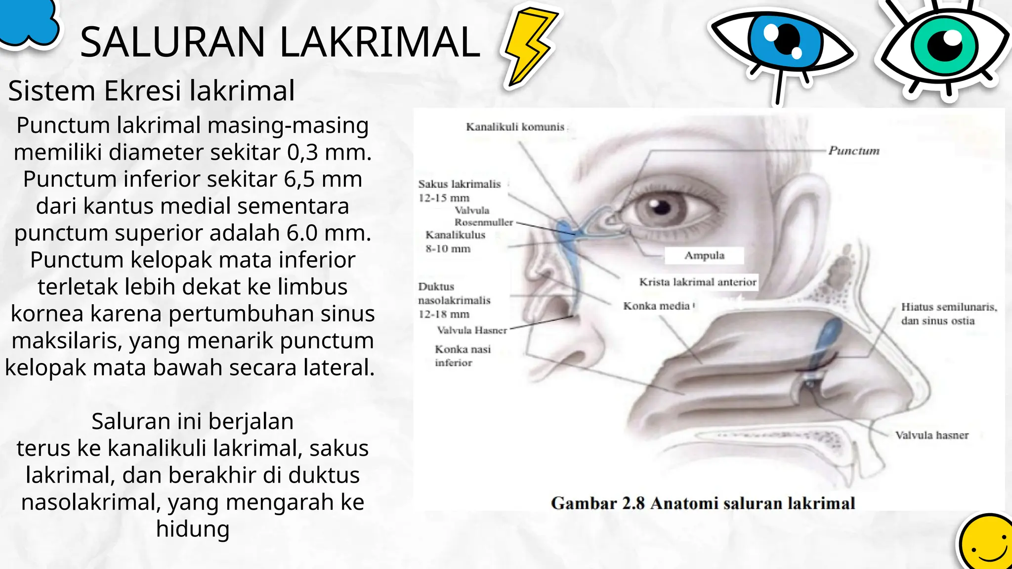 Tentiran PPT Anatomi dan Penyakit Palpebra.pptx