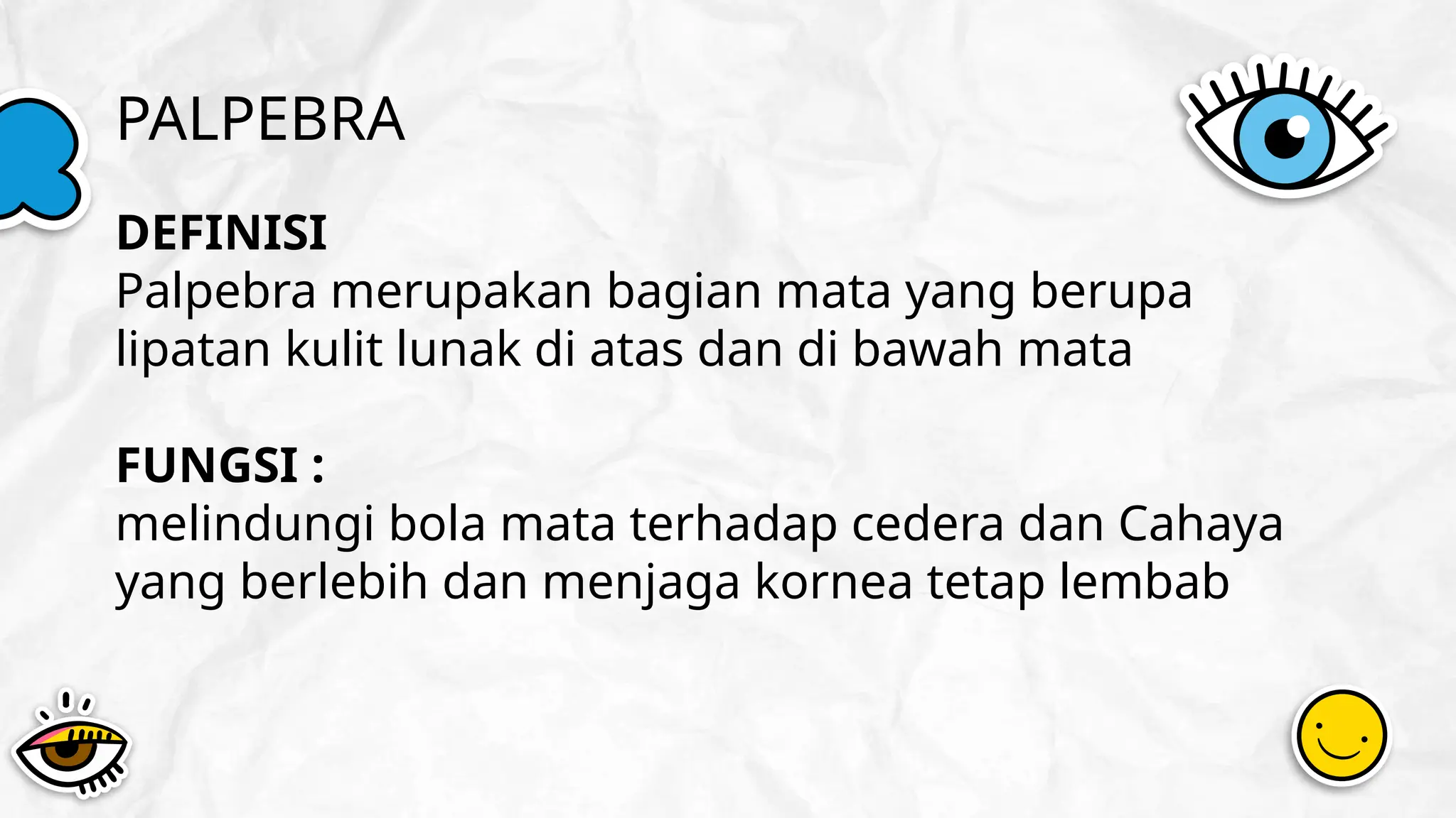 Tentiran PPT Anatomi dan Penyakit Palpebra.pptx