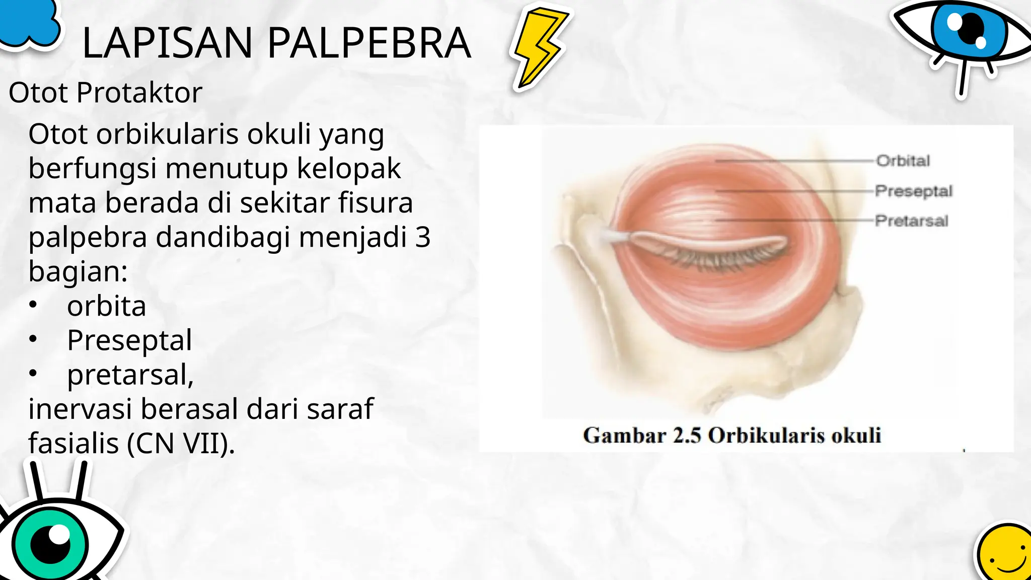 Tentiran PPT Anatomi dan Penyakit Palpebra.pptx