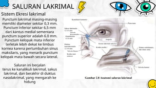 Tentiran PPT Anatomi dan Penyakit Palpebra.pptx