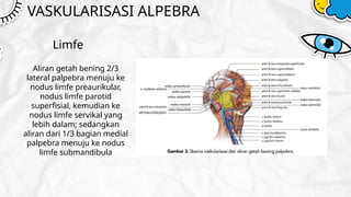 Tentiran PPT Anatomi dan Penyakit Palpebra.pptx